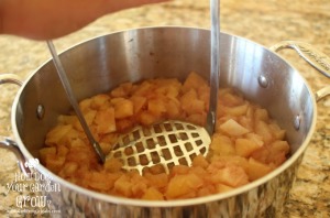 Quick and Easy Applesauce- www.thefarmgirlgabs.com