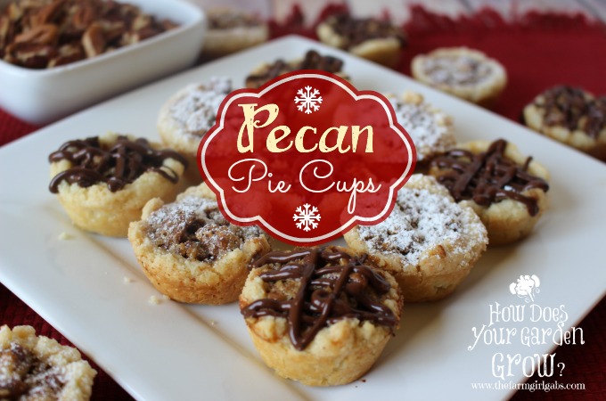 Pecan Pie Cups - www.thefarmgirlgabs.com
