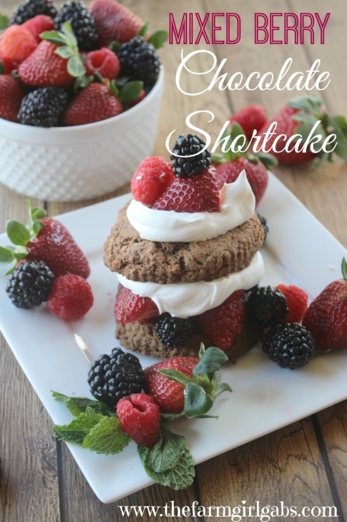 Mixed Berry Chocolate Shortcake - www.thefarmgirlgabs.com