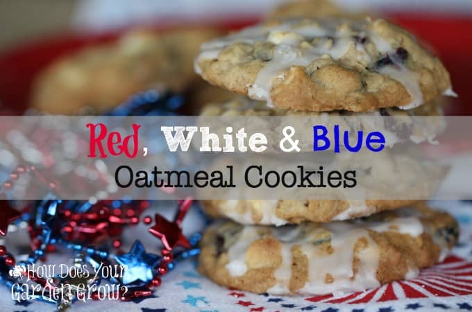 Red, White and Blue Oatmeal Cookies