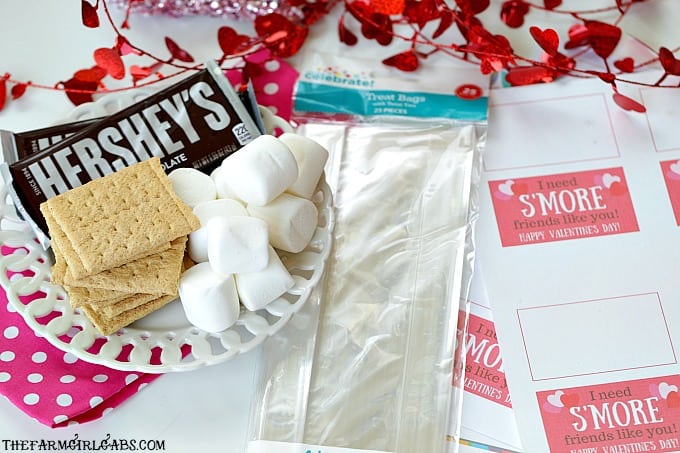 S'Mores Valentine Treat Bags - The Farm Girl Gabs®
