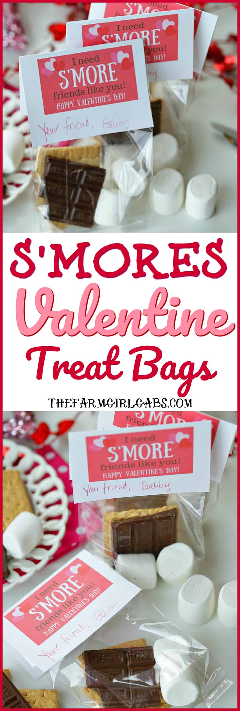 S'Mores Valentine Treat Bags - The Farm Girl Gabs®
