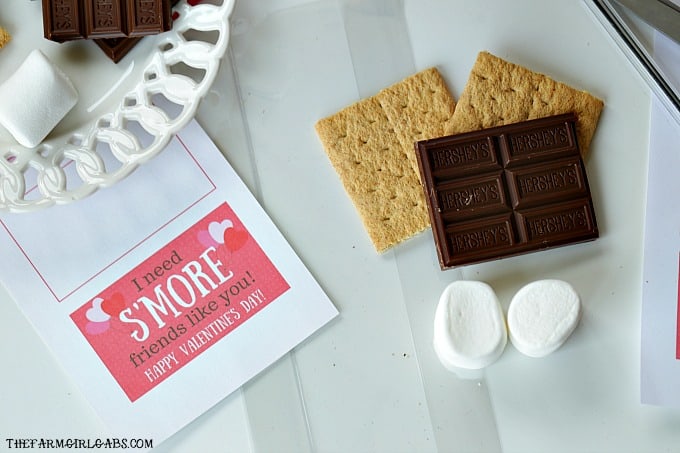 S'Mores Valentine Treat Bags - The Farm Girl Gabs®