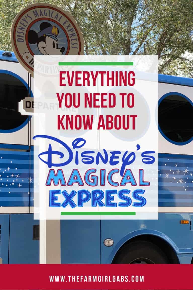 Everything You Need To Know About Disney's Magical Express - The Farm ...