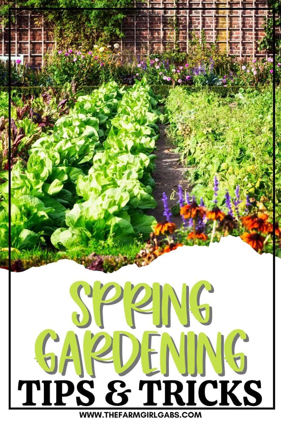 Spring Flower Garden Tips - The Farm Girl Gabs®