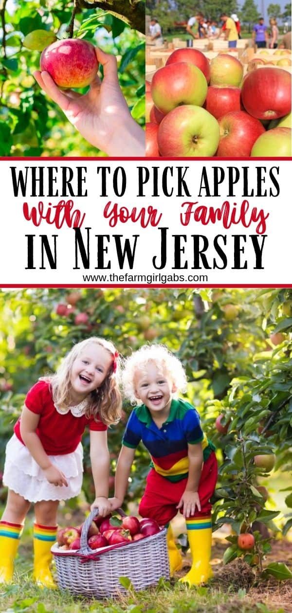The Best Places To Go Apple Picking in NJ - The Farm Girl Gabs®