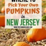 Best Places to Pick Pumpkins In NJ - The Farm Girl Gabs®