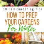 10 Fall Garden Clean-Up Tips You Need To Do Now!