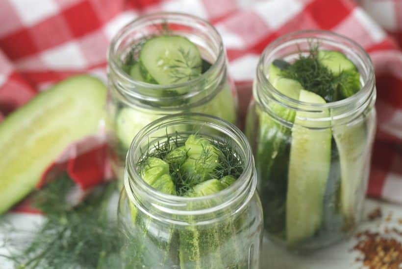 Easy Homemade Refrigerator Dill Pickles - The Farm Girl Gabs®