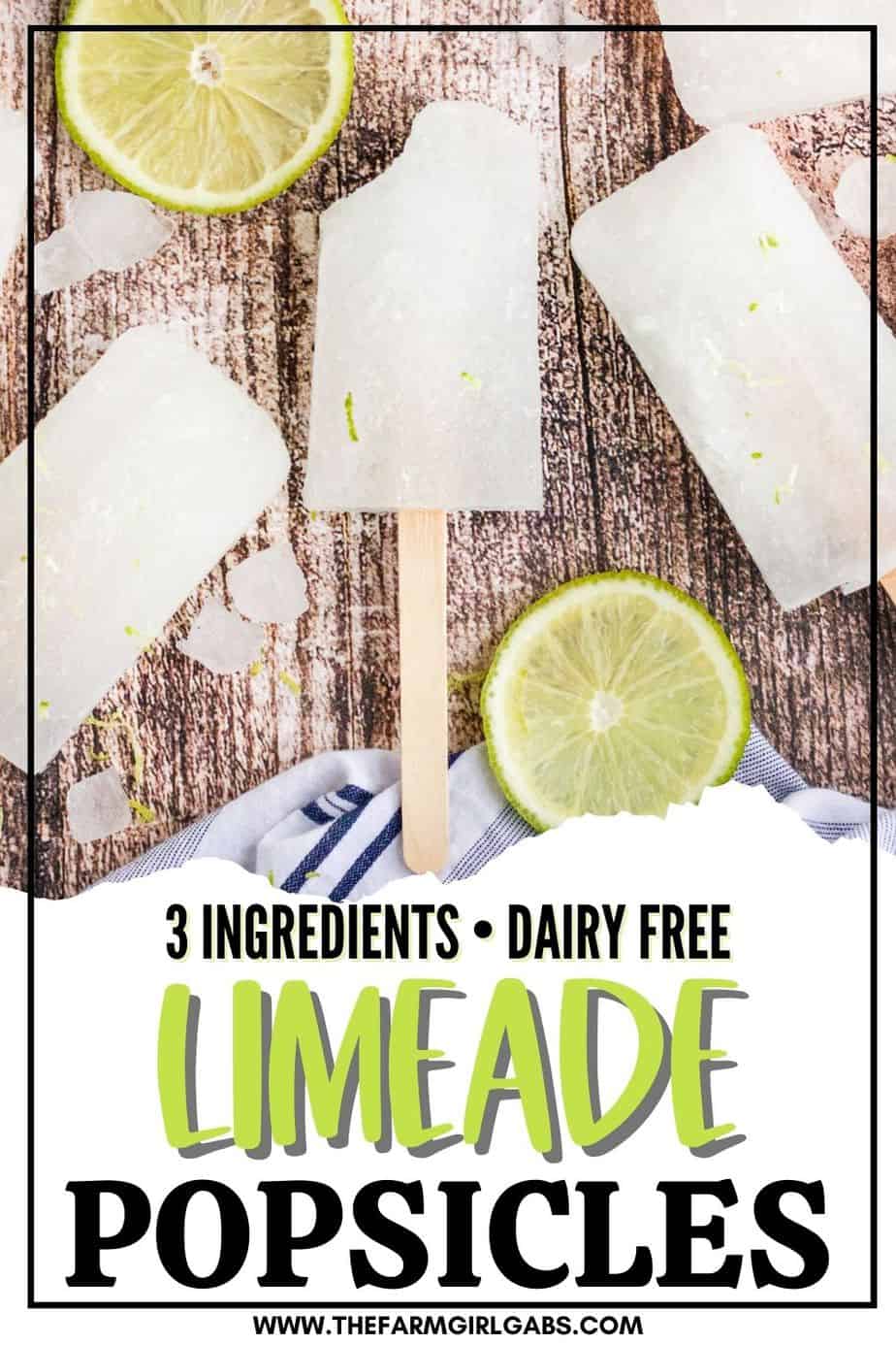 Lime Popsicles - The Farm Girl Gabs®