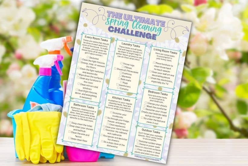 Spring Cleaning Challenge For Busy Moms - The Farm Girl Gabs®