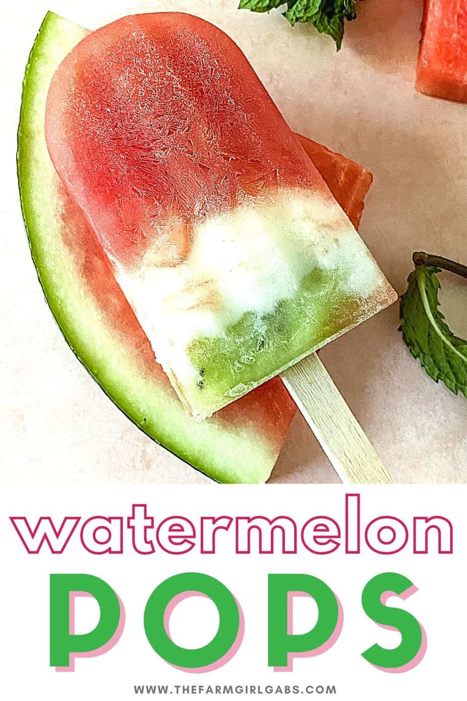 Watermelon Pops - The Farm Girl Gabs®