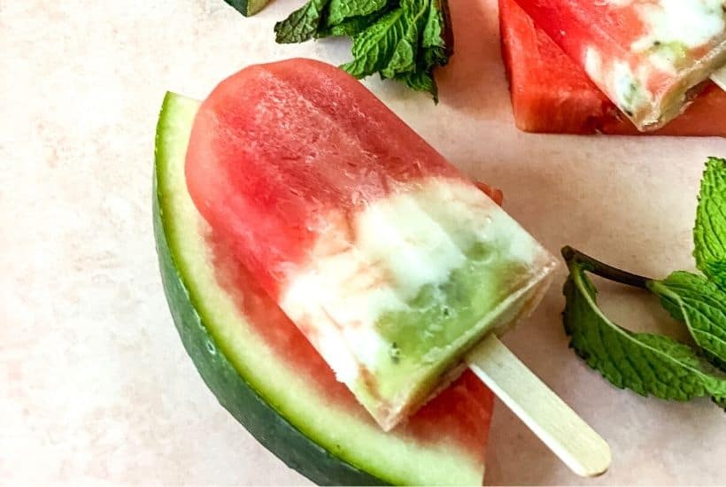 Watermelon Pops - The Farm Girl Gabs®