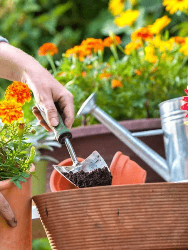 10 Ways To Get Your Gardens Ready For Spring Story - The Farm Girl Gabs®