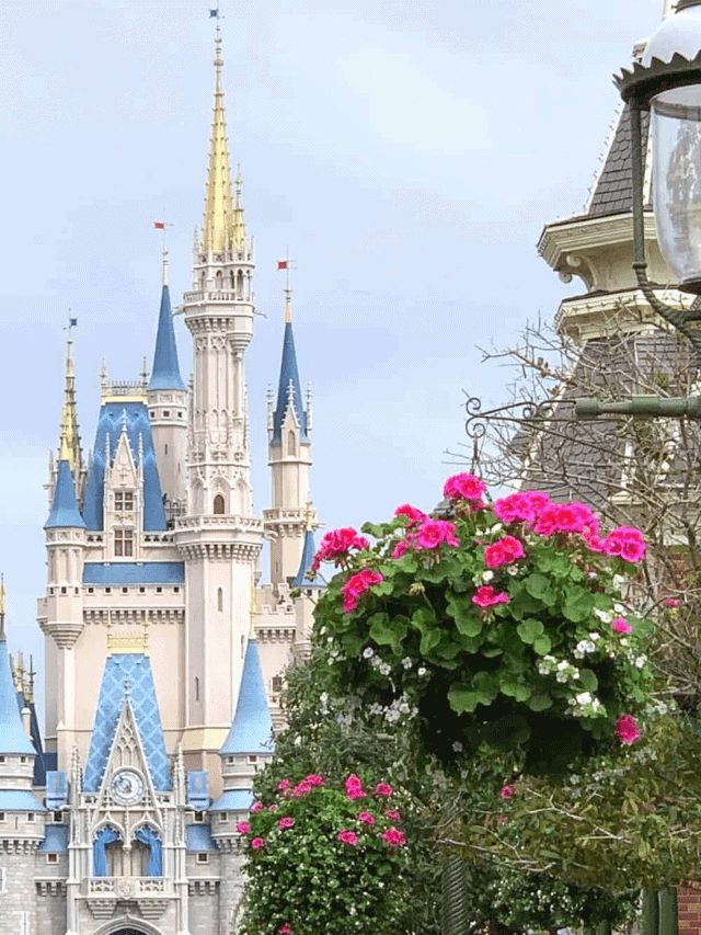 Disney World On A Budget How To Plan A Trip That Doesn t Break The Disney World On A Budget How To Plan A Trip That Doesn t Break The