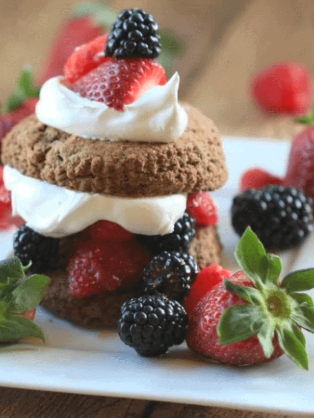 Mixed Berry Chocolate Shortcake Story - The Farm Girl Gabs®