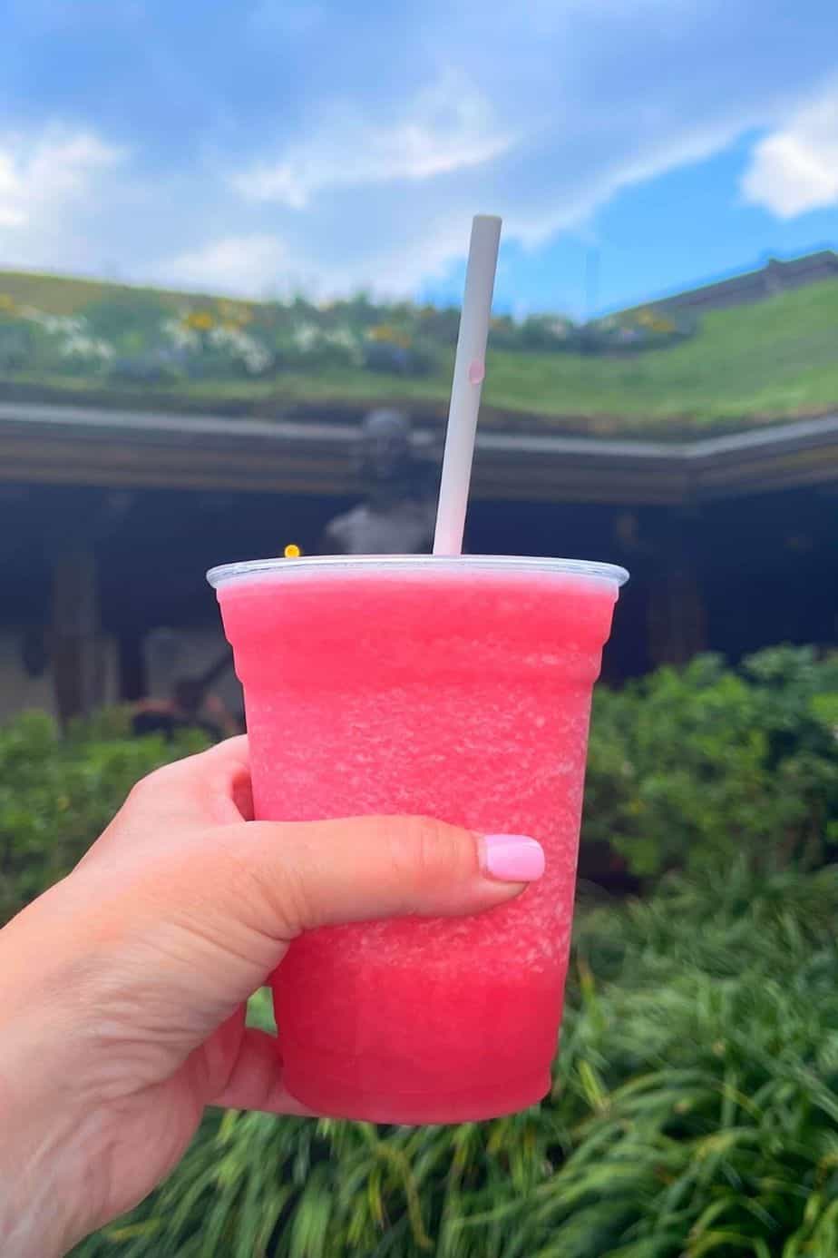 Copycat Epcot Troll Kreme Spiked Slush - The Farm Girl Gabs®
