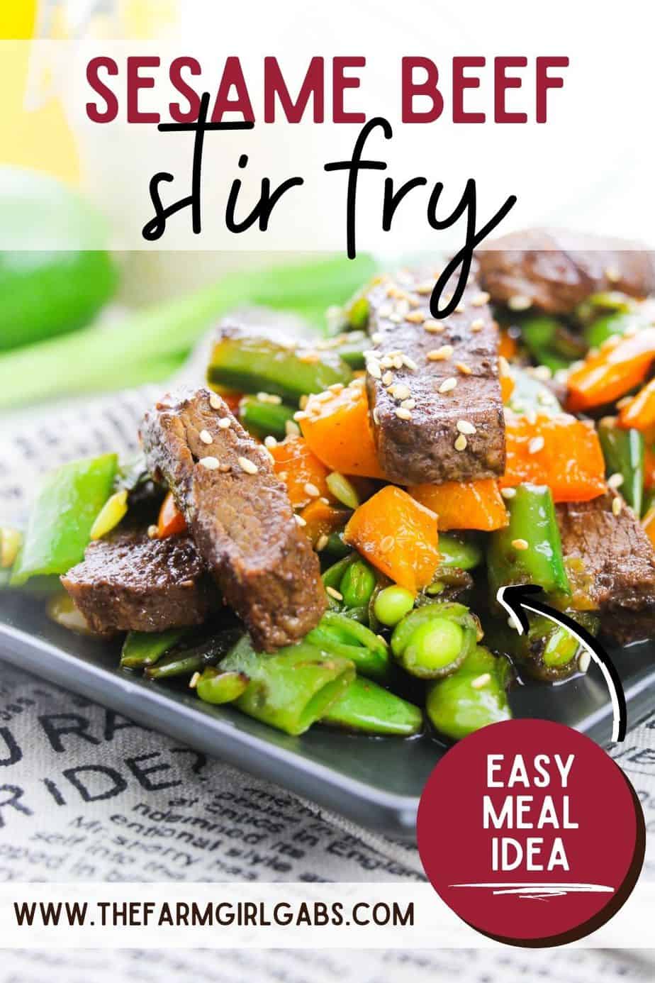 Sesame Beef Stir Fry - The Farm Girl Gabs®