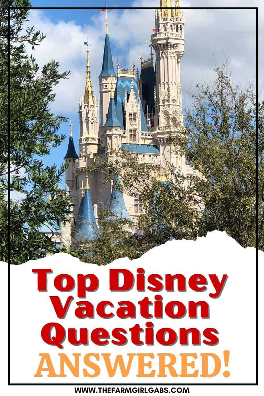 Top Disney World Questions About How to Have a Magical Vacation - The ...