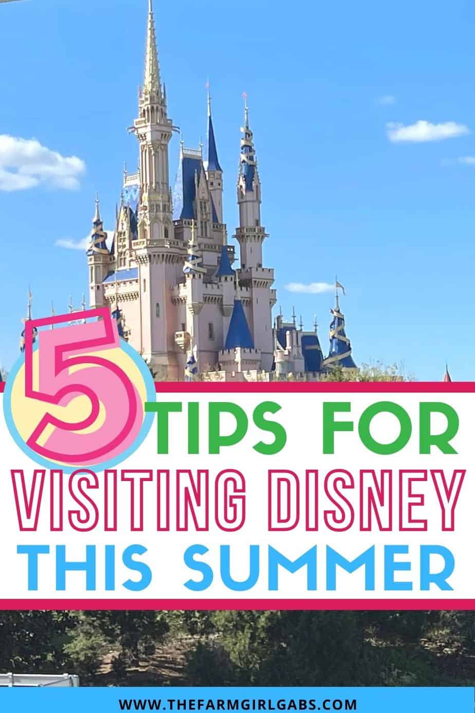 Summer Disney World Vacation CheckList: 5 Must-Dos - The Farm Girl Gabs®