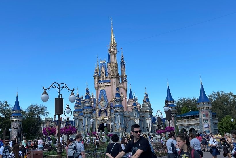 10 Amazon Disney World Trip Must-Haves - The Farm Girl Gabs®