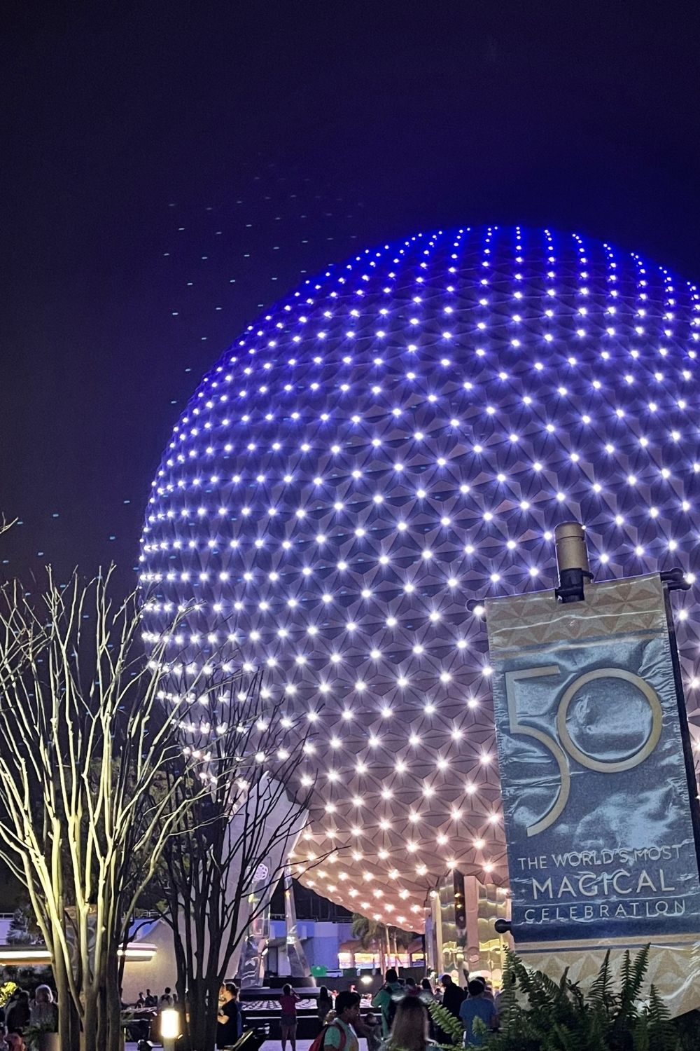 10 Amazon Disney World Trip Must-Haves - The Farm Girl Gabs®