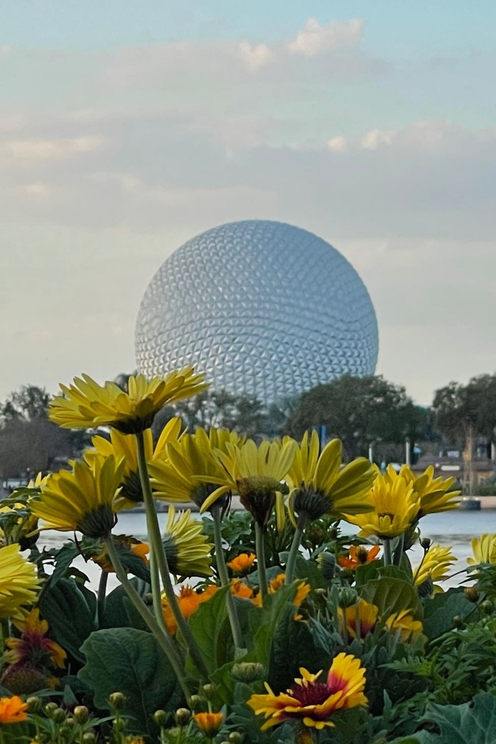 10 Amazon Disney World Trip Must-Haves - The Farm Girl Gabs®