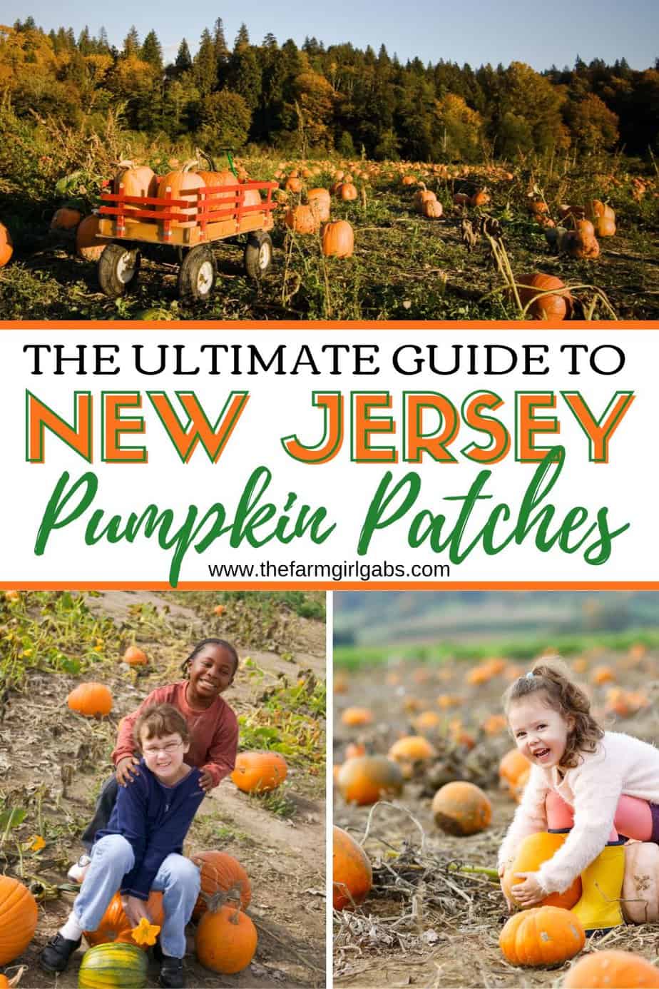 Best Places to Pick Pumpkins In NJ - The Farm Girl Gabs®