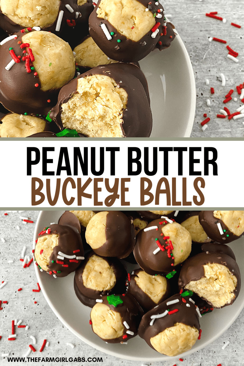 The Best Buckeyes - The Farm Girl Gabs®