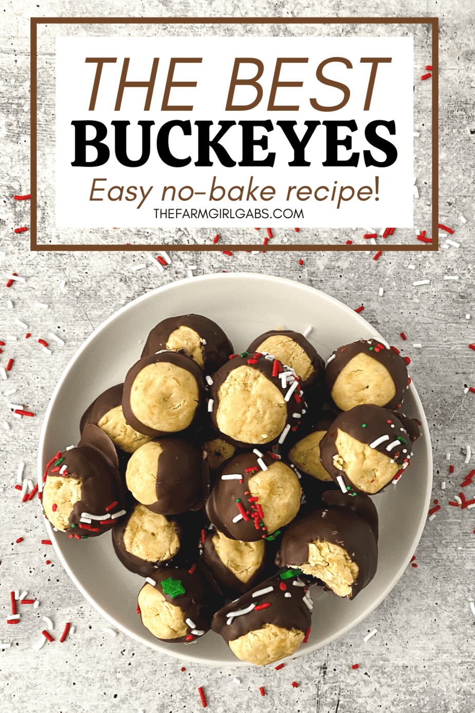 The Best Buckeyes - The Farm Girl Gabs®
