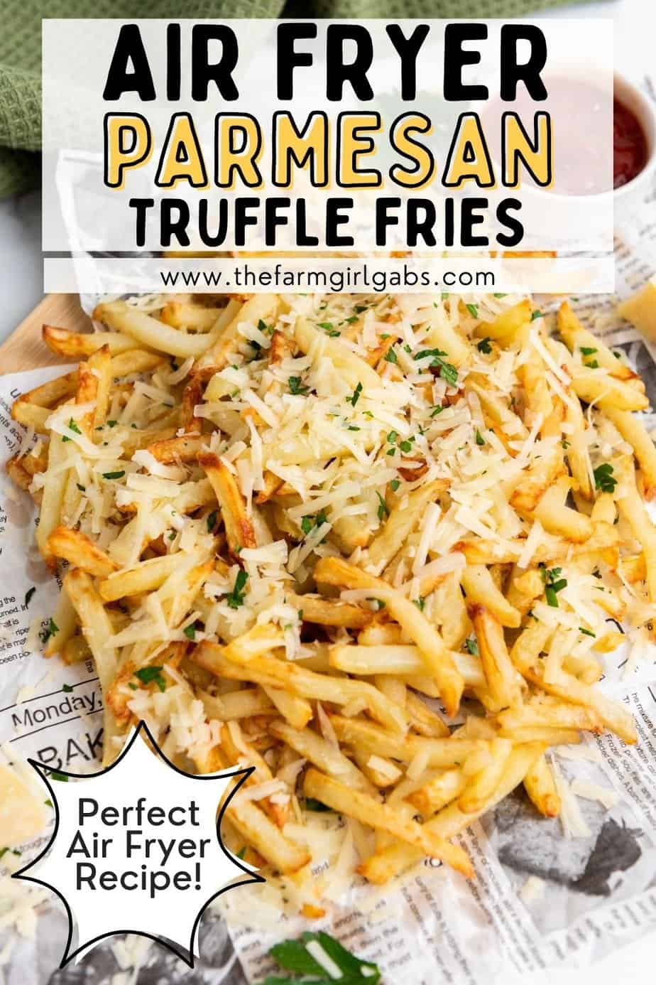 Air Fryer Parmesan Truffle Fries - The Farm Girl Gabs®