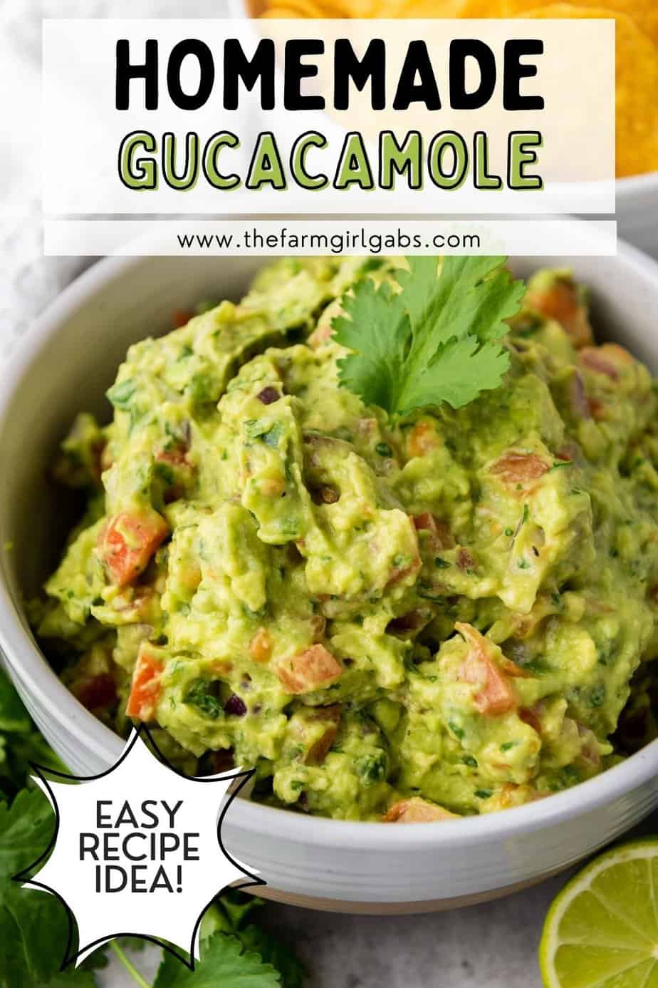 Homemade Guacamole - The Farm Girl Gabs®